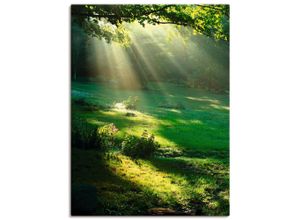 4055327242219 - Wandbild ARTLAND Lichtkegel Bilder Gr B H 60 cm x 80 cm Leinwandbild Wald Hochformat 1 St grün Bild Metallbild Metallbilder Bilder als Alubild Leinwandbild Wandaufkleber oder Poster in versch Größen