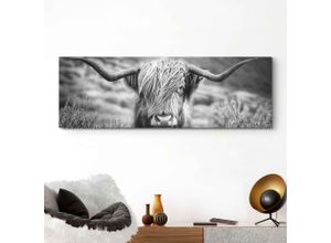 8714597598674 - Wandbild REINDERS Wandbild Highlander Bulle Tiermotiv - Nahaufnahme Hochlandrind Bild Bilder Gr B H 156 cm x 52 cm Kuh 1 St schwarz (schwarz weiß) Kunstdrucke