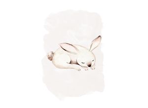 4055065200113 - Bild KOMAR Sleepy Bunny schwarz (farbe bild(er) schwarz weiß) B50cm H70cm Papier Holz Bilder Wandbild zur Dekoration - ohne Rahmen