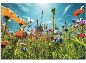 4062144669280 - Wandbild ARTLAND Buntes Blumenfeld Bilder Gr B H 30 cm x 20 cm Alu-Dibond-Druck Blumenwiese Querformat 1 St bunt Kunstdrucke als Alubild Leinwandbild Wandaufkleber oder Poster in versch Größen
