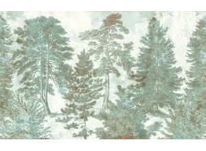 4055065050923 - Fototapete »Vlies Fototapete - Pale Panoramic - Größe 400 x 250 cm« glatt botanisch floral geblümt gemustert tropisch (Packung 1 St Lieferung auf Rolle in stabiler Kartonhülse) Vom Design bis zum Druck Made in Germany bunt