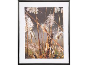 4064118317340 - Bild mit Rahmen CREATIV HOME Leinwandbild Blüten mit Tropfen bunt (farbe rahmen schwarz farbe bild(er) bunt) B40cm H50cm T25cm Bilder mit Rahmen