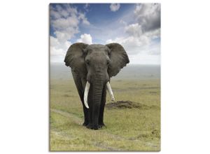 4055327242837 - Wandbild ARTLAND Elefant Bilder Gr B H 30 cm x 40 cm Leinwandbild Wildtiere Hochformat 1 St grün Bild Poster Bilder als Alubild Leinwandbild Wandaufkleber oder in versch Größen