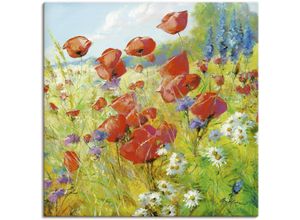 4055327137386 - Wandbild ARTLAND Sommerwiese mit Mohnblumen Bilder Gr B H 70 cm x 70 cm Leinwandbild Blumenwiese 1 St bunt Bild Poster Bilder als Alubild Leinwandbild Wandaufkleber oder in versch Größen