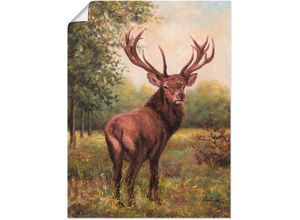 4055327289900 - Wandbild ARTLAND Hirsch Bilder Gr B H 30 cm x 40 cm Poster Wildtiere 1 St grün Bild Metallbild Metallbilder Bilder als Alubild Leinwandbild Wandaufkleber oder Poster in versch Größen