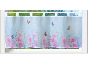 4005385836158 - Scheibengardine WECKBRODT Capri Gr 1 bunt (multi) B120cm H45cm Voile Polyester Gardinen Voile halbtransparent bedruckt HxB 45x120cm Gardine Store