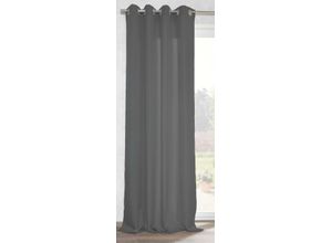 4025358033971 - Vorhang MY HOME Velonia grau B140cm H245cm Polyester Gardinen stilvoll funktional und pflegeleicht