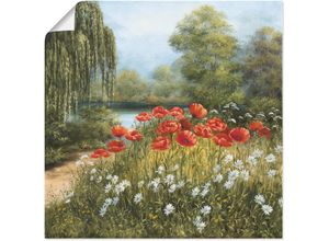 4055327272124 - Wandbild ARTLAND Mohnwiese am See Bilder Gr B H 50 cm x 50 cm Poster Blumenwiese 1 St grün Bild Poster Bilder als Alubild Leinwandbild Wandaufkleber oder in versch Größen