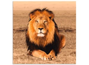 4057738377467 - Wandbild ARTLAND Löwe Bilder Gr B H 30 cm x 30 cm Alu-Dibond-Druck Wildtiere quadratisch 1 St braun Bild Metallbild Metallbilder Bilder als Alubild Leinwandbild Wandaufkleber oder Poster in versch Größen