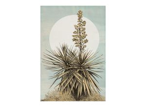 4055065179815 - Bild KOMAR Plans de Lagon bunt (farbe bild(er) bunt) B50cm H70cm Papier Holz Bilder Wandbild zur Dekoration - ohne Rahmen