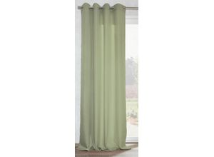 4025358038198 - Vorhang MY HOME Velonia grün (hellgrün) B140cm H245cm Polyester Gardinen stilvoll funktional und pflegeleicht