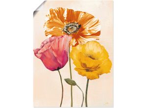 4055327286787 - Wandbild ARTLAND Bunte Mohnblumen II Bilder Gr B H 45 cm x 60 cm Poster Blumenbilder Hochformat 1 St bunt Kunstdrucke als Alubild Leinwandbild Wandaufkleber oder Poster in versch Größen