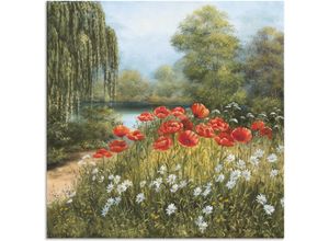 4057738396192 - Wandbild ARTLAND Mohnwiese am See Bilder Gr B H 50 cm x 50 cm Alu-Dibond-Druck Blumenwiese 1 St grün Bild Poster Bilder als Alubild Leinwandbild Wandaufkleber oder in versch Größen