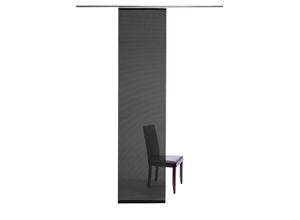 4043343584031 - Schiebegardine Manhattan Gardinen Gr 245 cm Paneelwagen 60 cm schwarz Schiebegardinen transparent Gardine modern Wohnzimmer Schlafzimmer