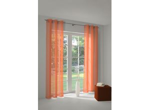 4004567154004 - Vorhang WIRTH LORCA Gr 1 orange B132cm H150cm Obermaterial 66% Polyester 34% Baumwolle Gardinen