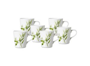 4006344319064 - Kaffeebecher Evora 300 ml 6er Set