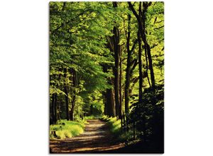 4059745637053 - Wandbild ARTLAND Weg im Wald Bilder Gr B H 60 cm x 80 cm Leinwandbild Wald 1 St grün Bild Leinwandbild Kunstdrucke Bilder als Alubild Leinwandbild Wandaufkleber oder Poster in versch Größen