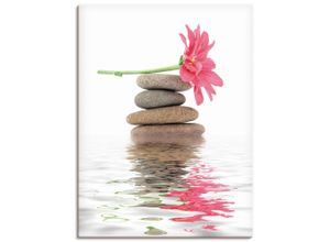 4055327242493 - Wandbild ARTLAND Zen Spa Steine mit Blumen I Bilder Gr B H 60 cm x 80 cm Leinwandbild Zen Hochformat 1 St pink Bild Metallbild Metallbilder Bilder als Alubild Leinwandbild Wandaufkleber oder Poster in versch Größen