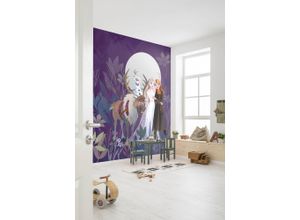 4055065410925 - Fototapete KOMAR Digitaldruck Vlies - Frozen Full Moon Hike - Größe 200 x 250 cm bunt Rollen Vlies Tapeten Kinderzimmer