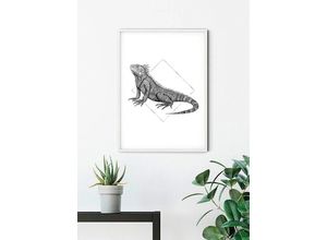 4055065152016 - Bild KOMAR Iguana White bunt (farbe bild(er) bunt) B50cm H70cm Papier Holz Bilder Wandbild zur Dekoration - ohne Rahmen