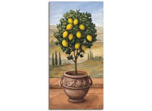 4055327160421 - Wandbild ARTLAND Zitronenbaum Bilder Gr B H 30 cm x 60 cm Leinwandbild Bäume 1 St beige (naturfarben) Bild Metallbild Metallbilder Bilder als Alubild Leinwandbild Wandaufkleber oder Poster in versch Größen