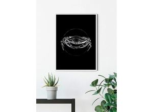 4055065152467 - Bild KOMAR Crab Black bunt (farbe bild(er) bunt) B50cm H70cm Papier Holz Bilder Wandbild zur Dekoration - ohne Rahmen
