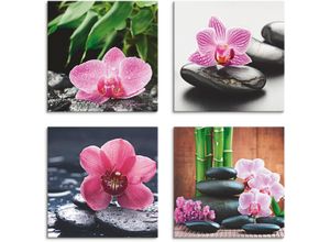 4062144353639 - Leinwandbild ARTLAND Orchidee Zenstein Tropfen Spa Konzept Bilder Gr B H 30 cm x 30 cm Leinwandbild Zen quadratisch 4 St pink Bild Leinwandbild Leinwandbilder Bilder 4er Set verschiedene Größen