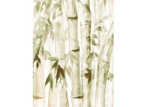 4055065200434 - Bild KOMAR Wild Bamboo grün (farbe bild(er) grün weiß) B30cm H40cm Papier Holz Bilder Wandbild zur Dekoration - ohne Rahmen