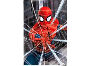 8714597629378 - Poster REINDERS Marvel Spiderman - gotcha rot (farbe bild(er) rot) B61cm H915cm T01cm Papier Bilder