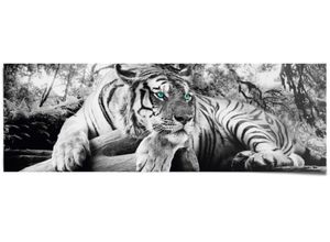 8714597379204 - Poster REINDERS Tigerblick schwarz (farbe bild(er) schwarz) B158cm H53cm Papier Bilder