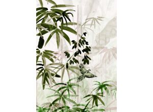 4055065178122 - Bild KOMAR Bamboo Forest grün (farbe bild(er) grün weiß) B50cm H70cm Papier Holz Bilder Wandbild zur Dekoration - ohne Rahmen 4055065178122 - Bild KOMAR Bamboo Forest grün (farbe bild(er) grün weiß) B50cm H70cm Papier Holz Bilder Wandbild zur Dekoration - ohne Rahmen