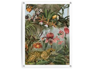 8714597638257 - Poster REINDERS Dschungelblumen grün (farbe bild(er) grün) B60cm H80cm T01cm Leinwand Bilder Outdoor für Garten oder Balkon