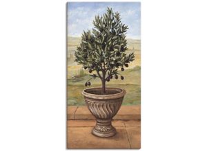4055327160452 - Wandbild ARTLAND Olivenbaum Bilder Gr B H 30 cm x 60 cm Leinwandbild Pflanzen 1 St grün Bild Metallbild Metallbilder Bilder als Alubild Leinwandbild Wandaufkleber oder Poster in versch Größen