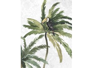 4055065200311 - Bild KOMAR Tropical Toucan bunt (farbe bild(er) bunt) B30cm H40cm Papier Holz Bilder Wandbild zur Dekoration - ohne Rahmen