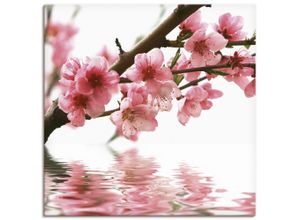 4055327233354 - Wandbild ARTLAND Pfirsichblüten reflektieren im Wasser Bilder Gr B H 40 cm x 40 cm Leinwandbild Blumen quadratisch 1 St pink Bild Poster Bilder als Alubild Leinwandbild Wandaufkleber oder in versch Größen