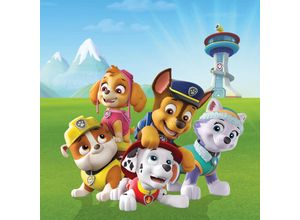 4032295091254 - Leinwandbild BÖNNINGHOFF Paw Patrol Bilder Gr B H T 35 cm x 35 cm x 18 cm Filmfiguren quadratisch 1 St bunt (grün rot blau weiß) Leinwandbilder BxH 35x35 cm