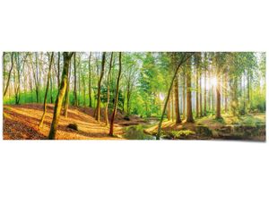 8714597615432 - Poster REINDERS Sonniger Wald grün (farbe bild(er) grün) B158cm H53cm T01cm Papier Bilder