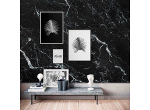 4055065155116 - Bild KOMAR Feather Black bunt (farbe bild(er) bunt) B30cm H40cm Holz Papier Bilder Wandbild zur Dekoration - ohne Rahmen