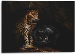 8714597612349 - Wandbild REINDERS Aluminium Wandbild Raubtiere Panther - Cougar - Katzen - Höhle schwarz (farbe bild(er) schwarz) B70cm H50cm Aluminium Bilder