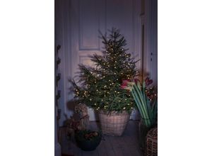 7318306367820 - KONSTSMIDE LED-Baummantel Energieeffizienz G (A-G) grün Dioden 150 Stk Flammen 150 Stk Kabellänge 5m x Gesamtlänge 68m Lichterketten LED Lichterkette mit Ring Ø 11 mit Globes 5 Stränge à 30 Dioden 7318306367820 - KONSTSMIDE LED-Baummantel Energieeffizienz G (A-G) grün Dioden 150 Stk Flammen 150 Stk Kabellänge 5m x Gesamtlänge 68m Lichterketten LED Lichterkette mit Ring Ø 11 mit Globes 5 Stränge à 30 Dioden