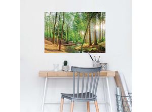 8714597646917 - Poster REINDERS Wald in der Sonne grün (farbe bild(er) grün) B915cm H61cm T01cm Holzwerkstoff Bilder