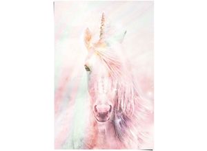 8714597582222 - Poster REINDERS Poster Magisches Einhorn Farbenfroh - Fantasie - Pferd rosa (farbe bild(er) rosa) B61cm H915cm Papier Bilder