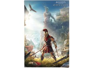 8714597568882 - Poster REINDERS Assassin`s Creed Key Art bunt (farbe bild(er) mehrfarbig) B61cm H915cm Papier Bilder