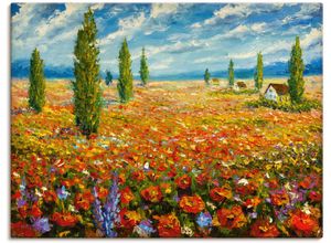 4062144641477 - Wandbild ARTLAND Mohnblumenwiese Bilder Gr B H 80 cm x 60 cm Leinwandbild Blumenwiese Querformat 1 St rot Kunstdrucke als Alubild Leinwandbild Wandaufkleber oder Poster in versch Größen
