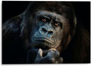8714597556421 - Alu-Dibond-Druck PLATINUM Gorilla schwarz (farbe bild(er) schwarz) B70cm H50cm T2cm Aluminium Bilder Joachim G Pinkawa