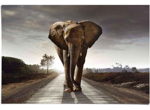 8714597560909 - Poster REINDERS Elefant Wanderung braun (farbe bild(er) braun) B915cm H61cm Papier Bilder