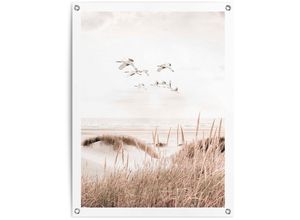 8714597628180 - Poster REINDERS Kraniche beige (farbe bild(er) beige) B60cm H80cm T01cm Leinwand Bilder