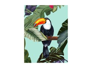 4055065200243 - Bild KOMAR Toco Toucan bunt (farbe bild(er) bunt) B40cm H50cm Holz Papier Bilder Wandbild zur Dekoration - ohne Rahmen