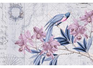 4059432199031 - LIVING WALLS Fototapete ARTist Bird Discovery Tapeten Vlies Wand Schräge Gr B L 4 m x 27 m blau (blau rosa) Fototapeten Blumen Tapeten