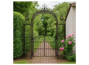 4255701939708 - Torbogen aus Metall mit Tür stilvolle Gartenarchitektur für Kletterpflanzen